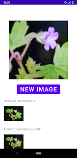 使用 MuMuPlayer（模擬器）在 PC 和 Mac 上下載並暢玩植物標識符