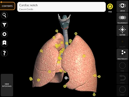 Download & Play Anatomy 3D Atlas for Free on PC & Mac (Emulator)
