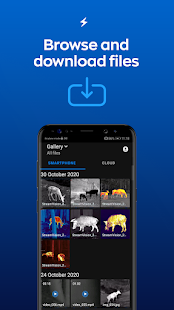 Download & Play Stream Vision 2 (beta) for Free on PC & Mac (Emulator)