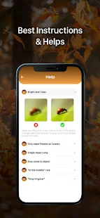 Download & Play Insect ID - Insect identifier app for Free on PC & Mac ...