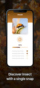 Download & Play Insect ID - Insect identifier app for Free on PC & Mac ...