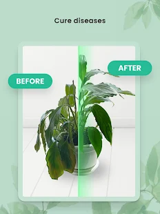 Download & Play PlantIn: Plant Identification for Free on PC & Mac ...
