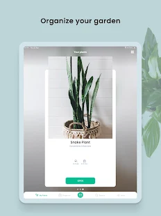 Download & Play PlantIn: Plant Identification for Free on PC & Mac ...