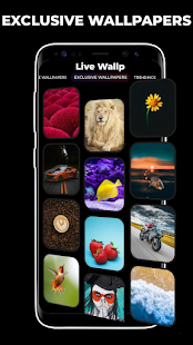 Download & Play Live Wallp for Free on PC & Mac (Emulator)